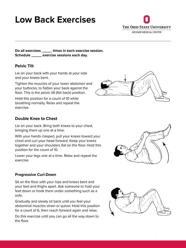 Fillable Online Low Back Exercises Fax Email Print - pdfFiller