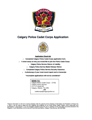 Fillable Online PIANO LESSON APPLICATION.docx Fax Email Print - pdfFiller