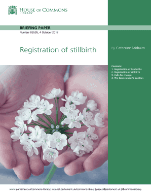 Fillable Online Registration of stillbirth Fax Email Print - pdfFiller