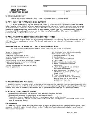 Fillable Online services dpw state pa CHILD SUPPORT INFORMATION SHEET ...