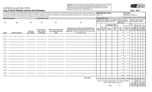 Fillable Online CalOSHA Form 300 Rev72007 Log of Work-Related Injuries ...