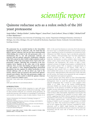 Sample Loss Prevention Program Doc Template | pdfFiller