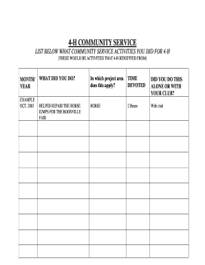 Fillable Online LIST BELOW WHAT COMMUNITY SERVICE ACTIVITIES YOU DID ...