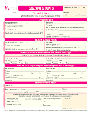 Fillable Online lot cci M4 DECLARATION DE RADIATION RESERVE AU CFE M G ...