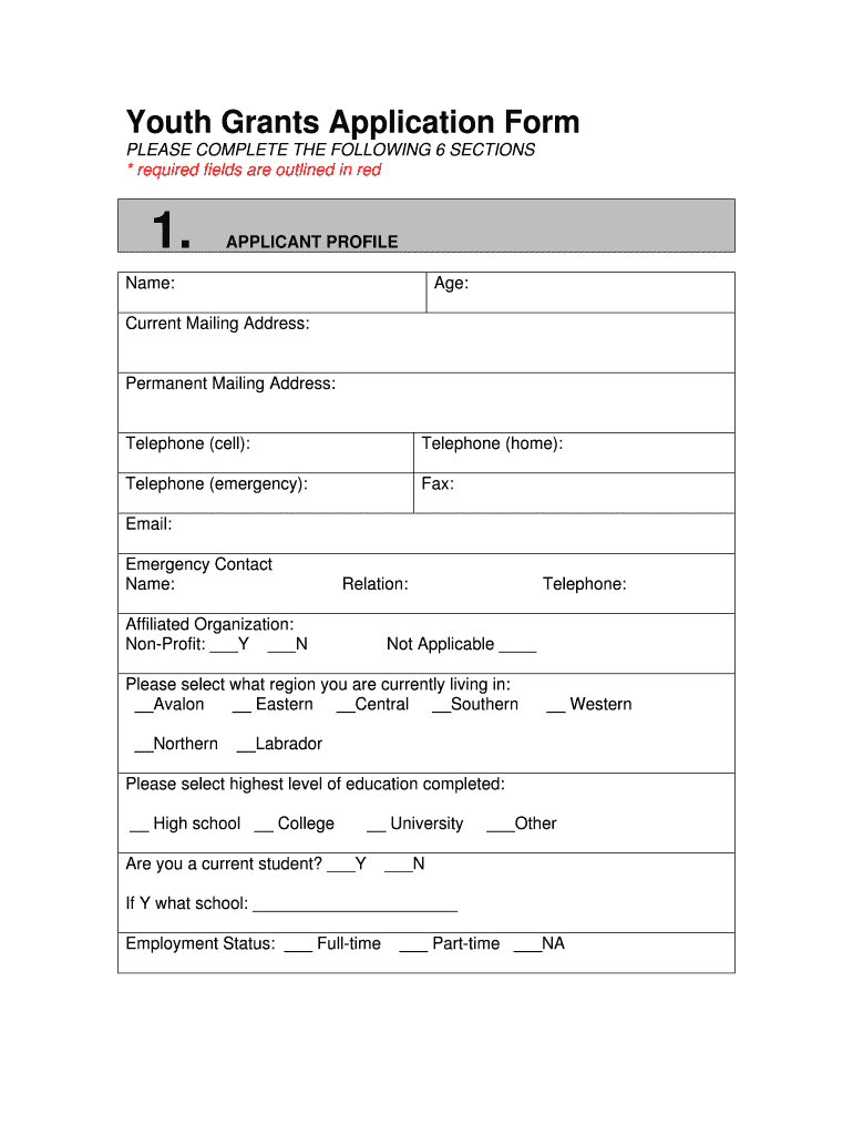 Fillable Online nfsales no-ip Youth Grants Application Form - no-ipbiz ...