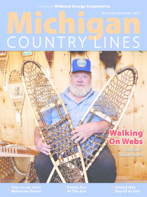 Fillable Online williamston-mi Mayor Noah Belanger, Mayor Protem Scott ...