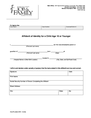 Fillable Online HCJFS 2326 - Affidavit for Identity for a Child Age 16 ...