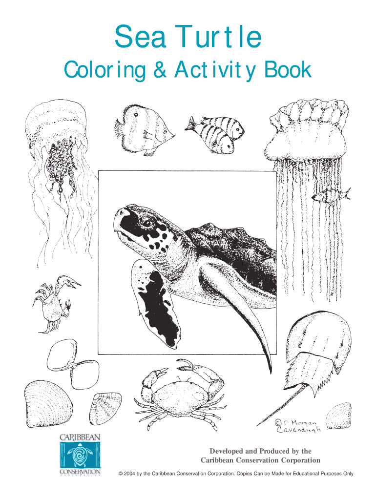 Fillable Online conserveturtles Sea Turtle Coloring Activity Book - Sea ...