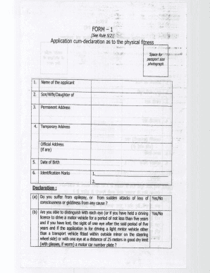 Fillable Online diu gov See Rule 5(2) Application cumdeclaration as to ...