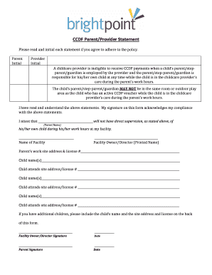 Fillable Online mybrightpoint CCDF ParentProvider Statement ...