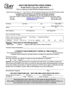 Fillable Online SOCCER REGISTRATION FORM Winfield Youth Soccer ...