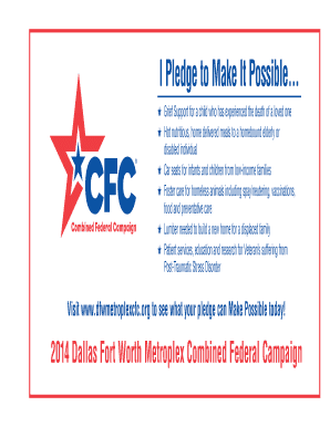 Fillable Online dfwmetroplexcfc I Pledge to Make It Possible - DFW ...