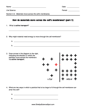 Fillable Online huskers k12 mo How do materials move across the cells ...