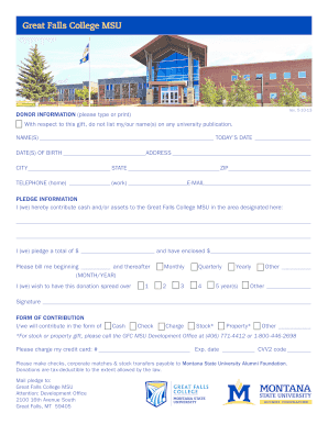 Fillable Online Great Falls College MSU rev Fax Email Print - pdfFiller