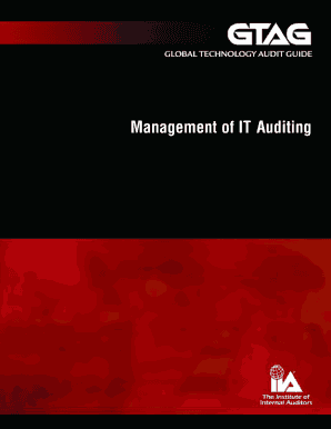 Fillable Online iia GTAG 4 Management of IT Auditing - IIA - iia Fax ...