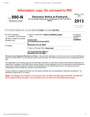 Fillable Online digitalpromiseglobal DPG-Form-990-N-e-Postcard-2013pdf ...