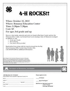 Fillable Online 4-H Rocks Fax Email Print - pdfFiller