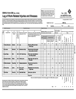 Fillable Online OSHA 300 completed 1-28.xls Fax Email Print - pdfFiller
