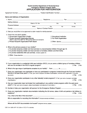 Fillable Online scchildcare DSS Form 3359 APR 10qxd Fax Email Print ...