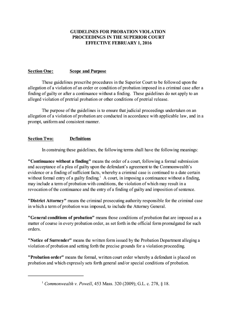 Fillable Online GUIDELINES FOR PROBATION VIOLATION Fax Email Print ...