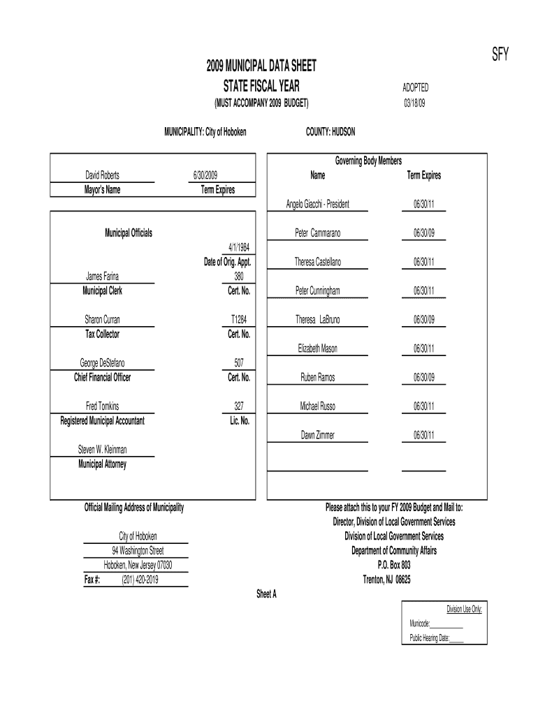 2009 MUNICIPAL DATA SHEET: Fill out & sign online | DocHub