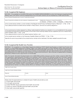 Fillable Online Certification Form for Serious Injury or Illness of ...