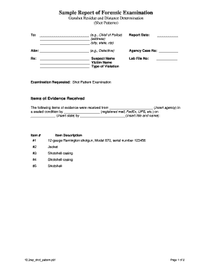 Fillable Online projects nfstc Sample Report of Forensic Examination ...