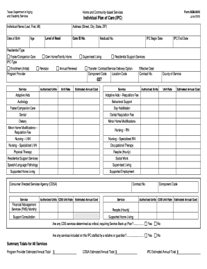 Fillable Online Home and Community-based Services Individual Plan of ...