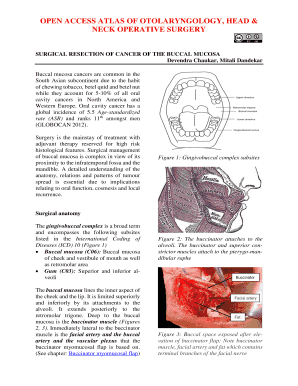 Pl1 Uploding Online - Fill Online, Printable, Fillable, Blank | pdfFiller
