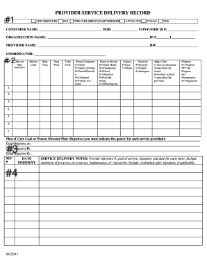 Fillable Online integralcare Provider Service Delivery Record 20111DOC ...
