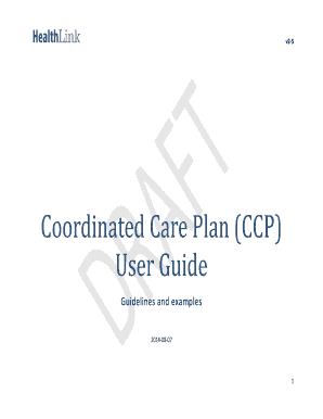 Fillable Online Coordinated Care Plan CCP User Guide Guidelines and ...