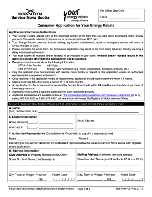 Fillable Online Download Your Energy Rebate Application Form PDF format ...