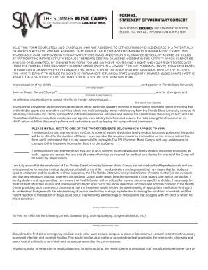 Fillable Online FORM 2 STATEMENT OF VOLUNTARY CONSENT Fax Email Print ...