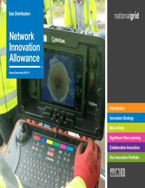 Fillable Online smarternetworks Network Innovation Allowance - Smarter ...