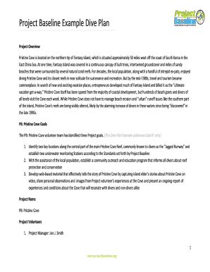 Fillable Online Project Baseline Example Dive Plan Fax Email Print ...