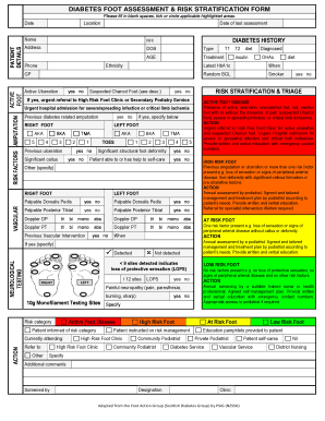Fillable Online healthhb co DIABETES FOOT ASSESSMENT RISK ...