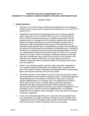 Fillable Online This form is to be used for filing a Petition for the ...