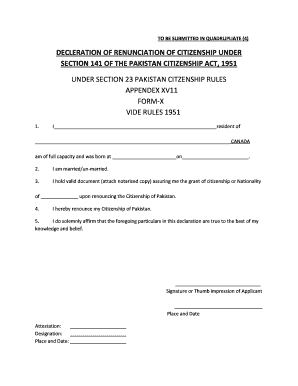 Declaration Of Renunciation Apostille – DQVT