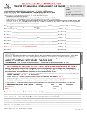 2008 UK AA1 (Formerly AA1A) Fill Online, Printable, Fillable, Blank - pdfFiller