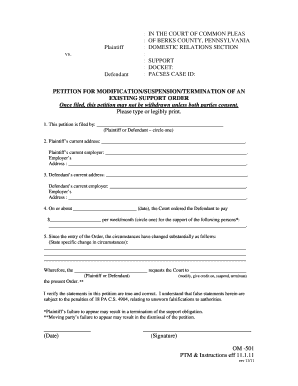 Fillable Online co berks pa PETITION FOR ...