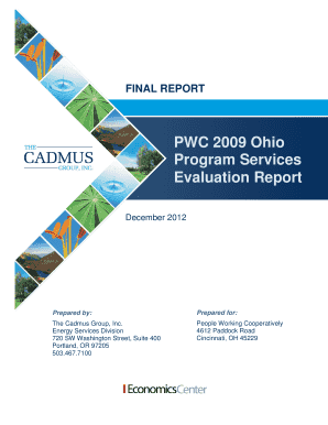 Fillable Online Guidelines for Completing the Maternal Death ...