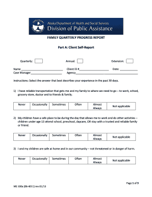Fillable Online dpaweb hss state ak FAMILY QUARTERLY PROGRESS REPORT ...