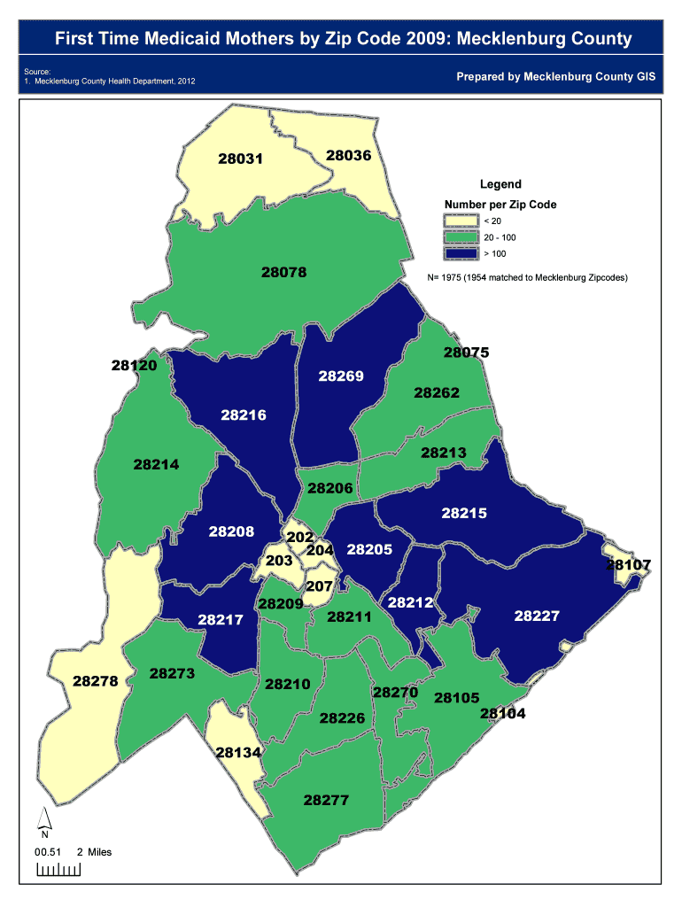 Fillable Online cfcrights First Time Medicaid Mothers by Zip Code 2009 ...