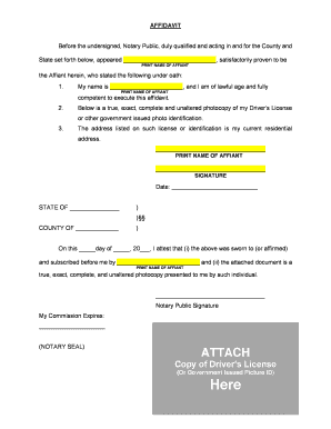 Fillable Online Before the undersigned, Notary Public, duly qualified ...