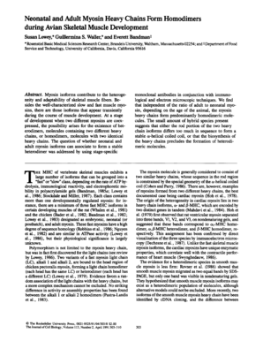 Fillable Online 82101 fillable form Fax Email Print - pdfFiller