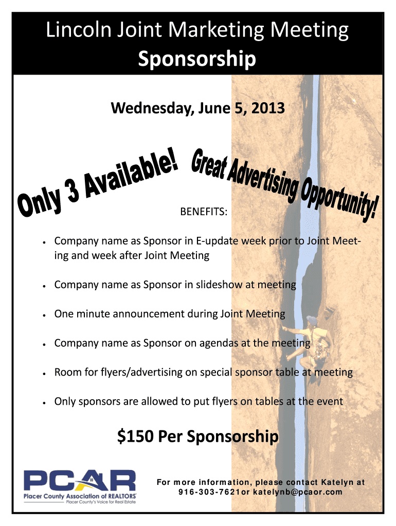 Fillable Online Sponsorship Fax Email Print - pdfFiller