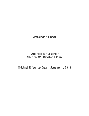 Fillable Online Section 125 Cafeteria Plan Document ORIGINALdocx Fax ...