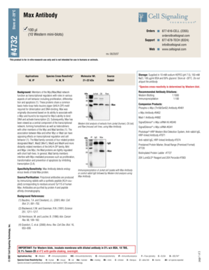Whataburger Application Pdf - Fill Online, Printable, Fillable, Blank ...