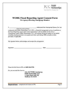Fillable Online WORK Fiscal Reporting Agent Consent Form Fax Email ...