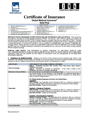 Fillable Online Global Medical Insurance - Gold Plus Plan - Certificate ...